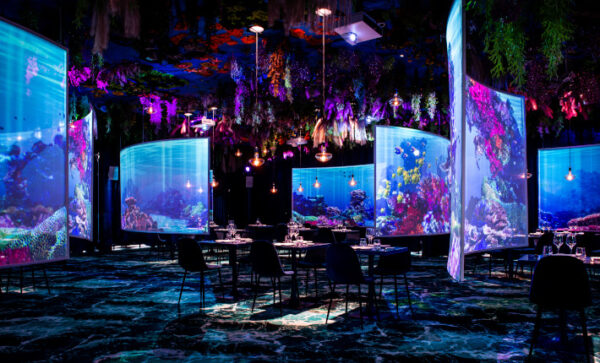 Under The Sea by Ephemera Restaurant Group | The first immersive ...